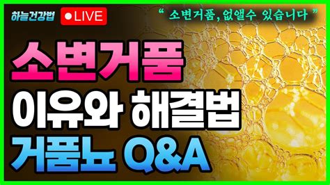 소변에 거품이나는이유 단백뇨 거품뇨 Qanda 해결방법과 음식 지압 Youtube