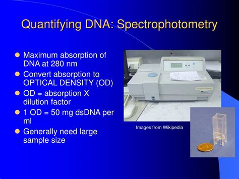 ppt quantifying sample dna powerpoint presentation free download
