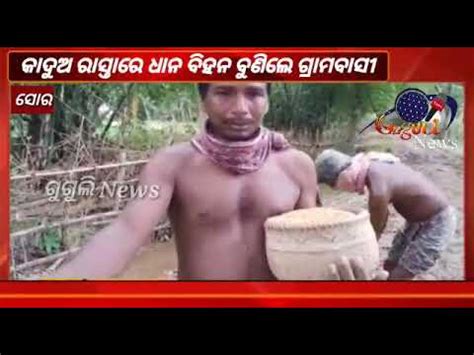 କଦଅ ରସତର ଧନ ବହନ ବଣଲ ଗରମବସ YouTube