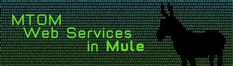 Mtom Web Services In Mule Appnovation