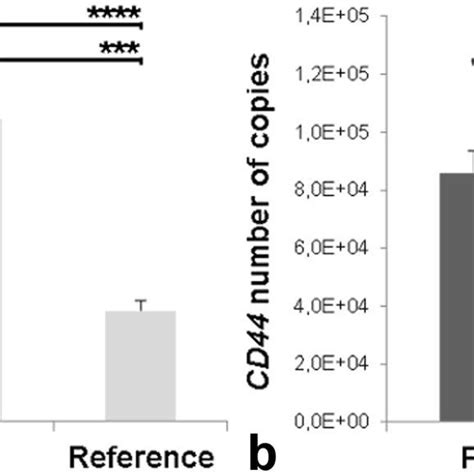 2a The Cell Proliferation Assay Graph Showing The Cell Proliferation