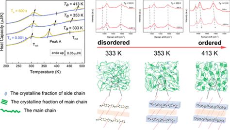 Monitoring Molecular Ordering Of A Conjugated Polymer Pbttt During Conformational Evolution