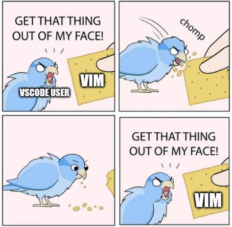 Vscode Vs Vim Rprogramminghumor