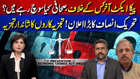 Peca Act What Are Journalists Thinking A Big Announcement From Pti