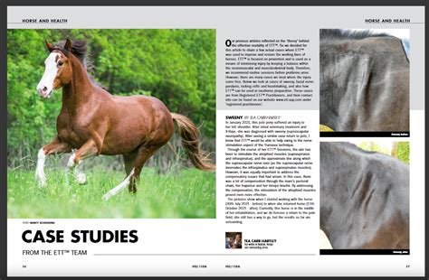 Screenshot Bset Academy