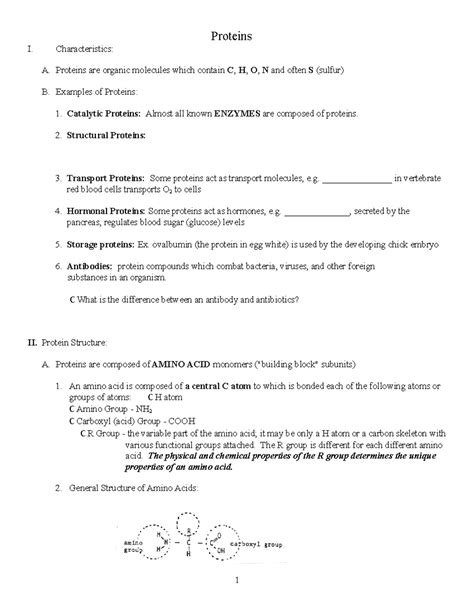 Proteinsf 18 These Notes Are Over Proteins Proteins I Characteristics A Proteins Are
