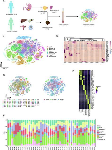 single cell rna seq profiling the tumor ecosystem in primary and