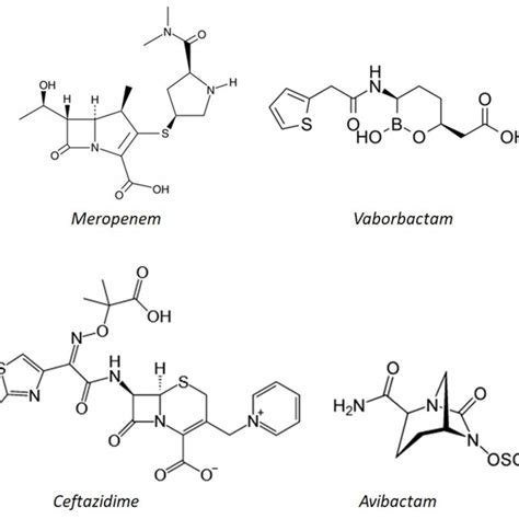 Cefiderocol Structure Activity Relationships Sar Download Scientific Diagram
