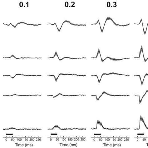 Waveforms Of The Auditory Evoked Potential Aep Multiunit Activity Download Scientific