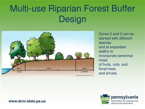 Ppt Conserving Penns Woods Multi Use Riparian Forest Buffer Initiative Powerpoint