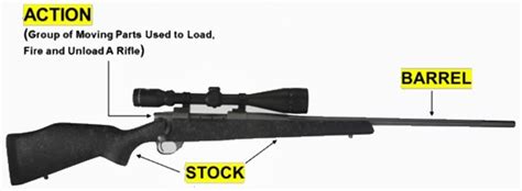 NRA Women | Firearm Basics: Parts of a Gun Stock