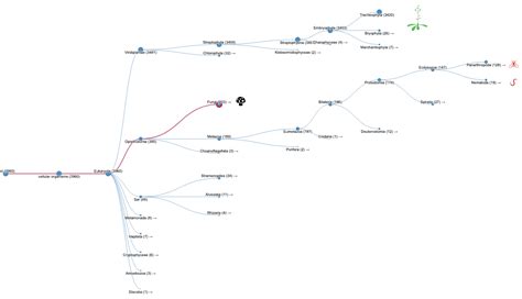 The Beauty Of Domain Architecture And Evolution Interpro Articles
