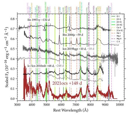 Comparison Of The SN Ocs Spectrum With Interacting SNe Of Types IIn Download Scientific