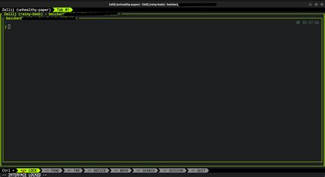 Custom Layouts Dont Load Correctly · Zellij Org Zellij · Discussion 2226 · Github