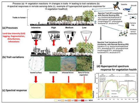 Remote Sensing Free Full Text Understanding Forest Health With