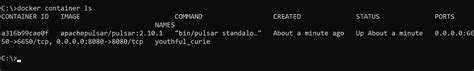 How To Enable Observability Into Apache Pulsar Pulsar Neighborhood