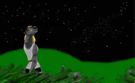 Astaria Under The Stars By Selonian On Deviantart