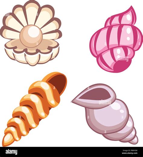 Borde De Concha De Dibujos Animados