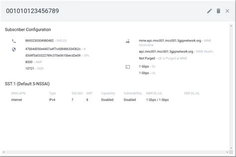 UE Disconnects Immediately After Connecting To MME SGW With No Errors Issue Open Gs