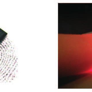 A Capacitance Swipe Sensor And An Optical Sensor Download