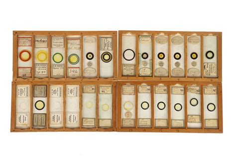 Lot 525 A Good Collection Of Diatom Microscope