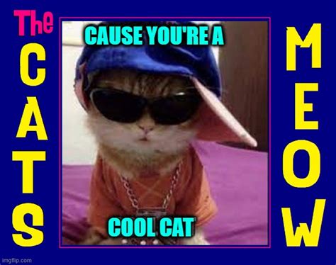 Putting The Me In Meow Imgflip