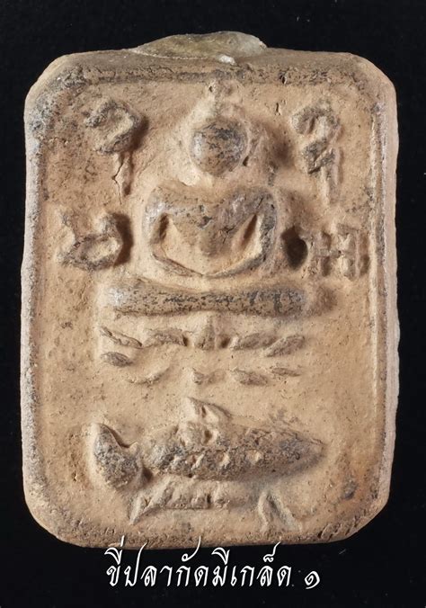 พระหลวงปู่ปานพิมพ์ขี่ปลา ศึกษาสะสมพระหลวงพ่อปานวัดบางนมโค