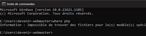 installer php 8 sous windows et le configurer pour symfony 6