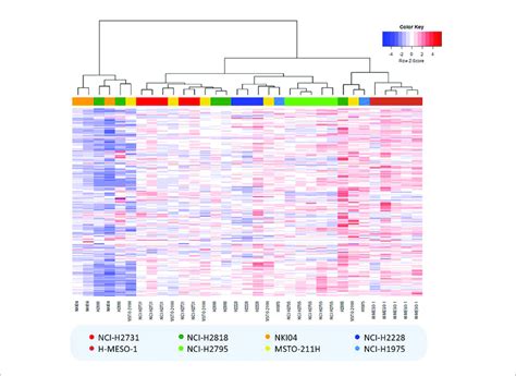 Hierarchically Clustered Heatmap Showing The Result Of Hierarchical