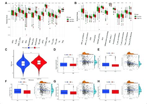 Assessment Of The Immune Level And Drug Sensitivity Related To The