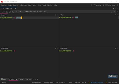 WindTerm Tmux Integration Swap Window WindTerm And WindEdit