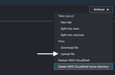 executing the first root job using the 2nd sight lab job execution