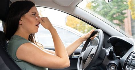 Як позбутися неприємного запаху в автомобілі чим вивести неприємний запах в машині що робити