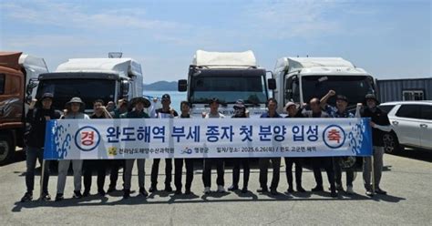 전남해양수산과학원 고수온 강한 부세 양식 완도 첫 분양