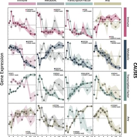 Time Series Profiles Of Experimentally Validated Causal Interactions