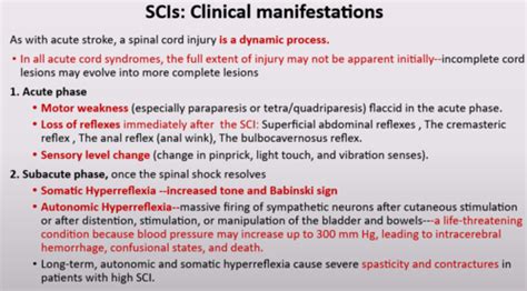 Neurology L17 Sci Concussions Subdural And Epidural Hemorrhage Flashcards Quizlet