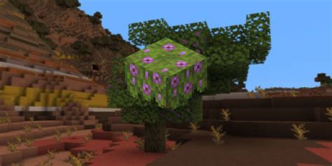 Minecraft 120s Bamboo Wood Opens The Door For Other Creative Wood Types