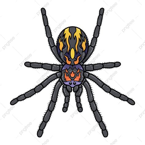 거미 일러스트 공포 검 은 곤충 거미 거미 공포 검은 Png 일러스트 및 Psd 이미지 무료 다운로드 Pngtree