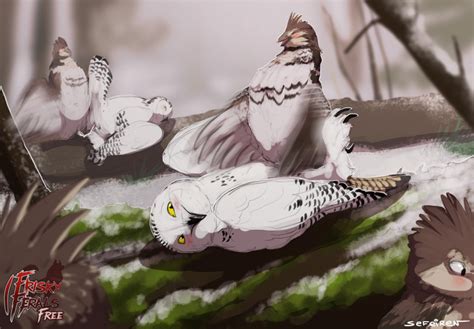 Rule 34 2013 Ambiguous Gender Avian Beak Bird Blush Cloaca Cum Feathers Feral Fluids Frisky