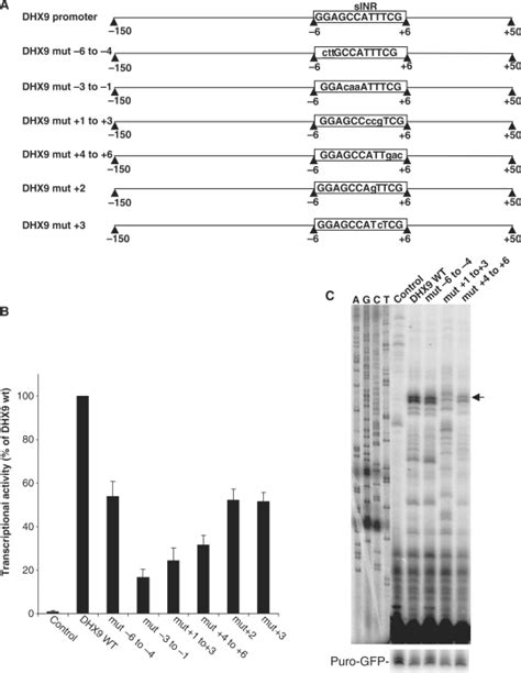 The Sequence Requirements For Sinr Function A A Scheme Of Sinr