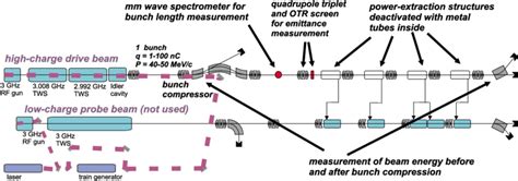 Color The Ctf Ii The Csr Experiments Were Performed Using The Drive Download Scientific