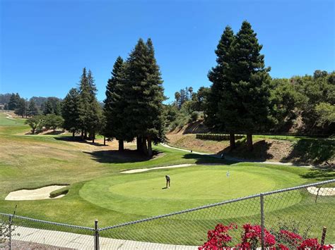 Sequoyah Country Club Plans To Cut 175 Redwoods Some Neighbors Are Opposed