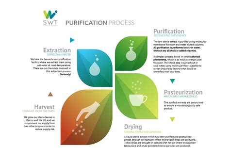 Purification Process Swt Stevia