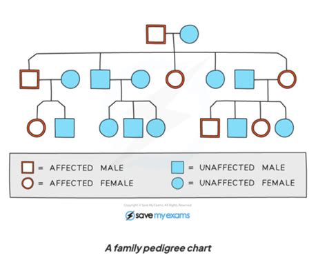 Biology Patterns Of Inheritance And Sex Linkage Flashcards Quizlet