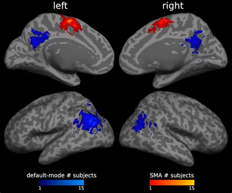 Experiment 2 Regions That Defined Brain State Group Sma Red And