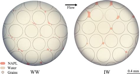 Pore‐scale Images Taken By Microscope To Illustrate Non‐aqueous Phase Download Scientific