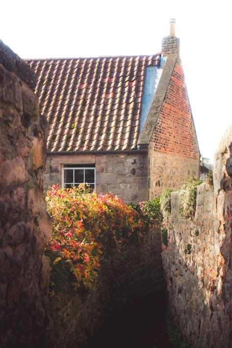 집 밖의 Odrzucaj Tradycyjne 가을 장면 거리 사진 건축 건축 세부 경치 좋은 전망 경치가 좋은 고전 건축 고풍스러운 거리 관광 관광