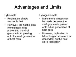 07 Lytic Vs Lysogenic Cycle PPT