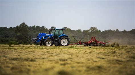 Heath Grass Sprigging Home