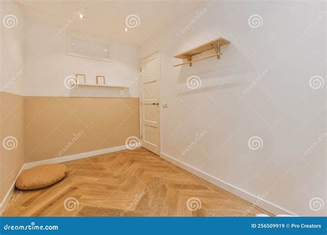 Spacious Empty Room Stock Image Image Of Comfortable 256509919